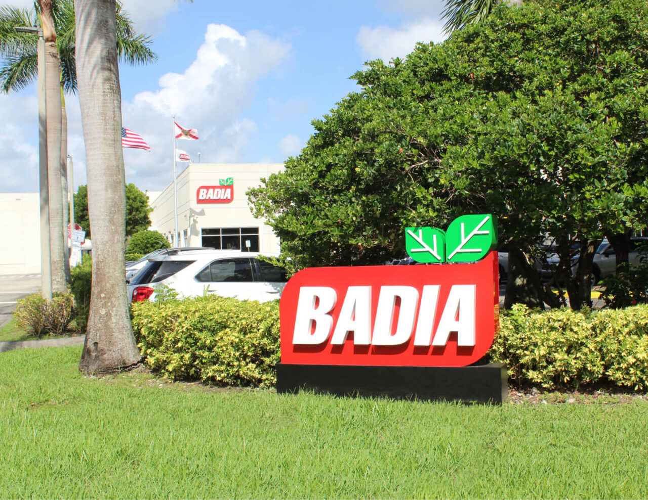 Who We Are - Badia